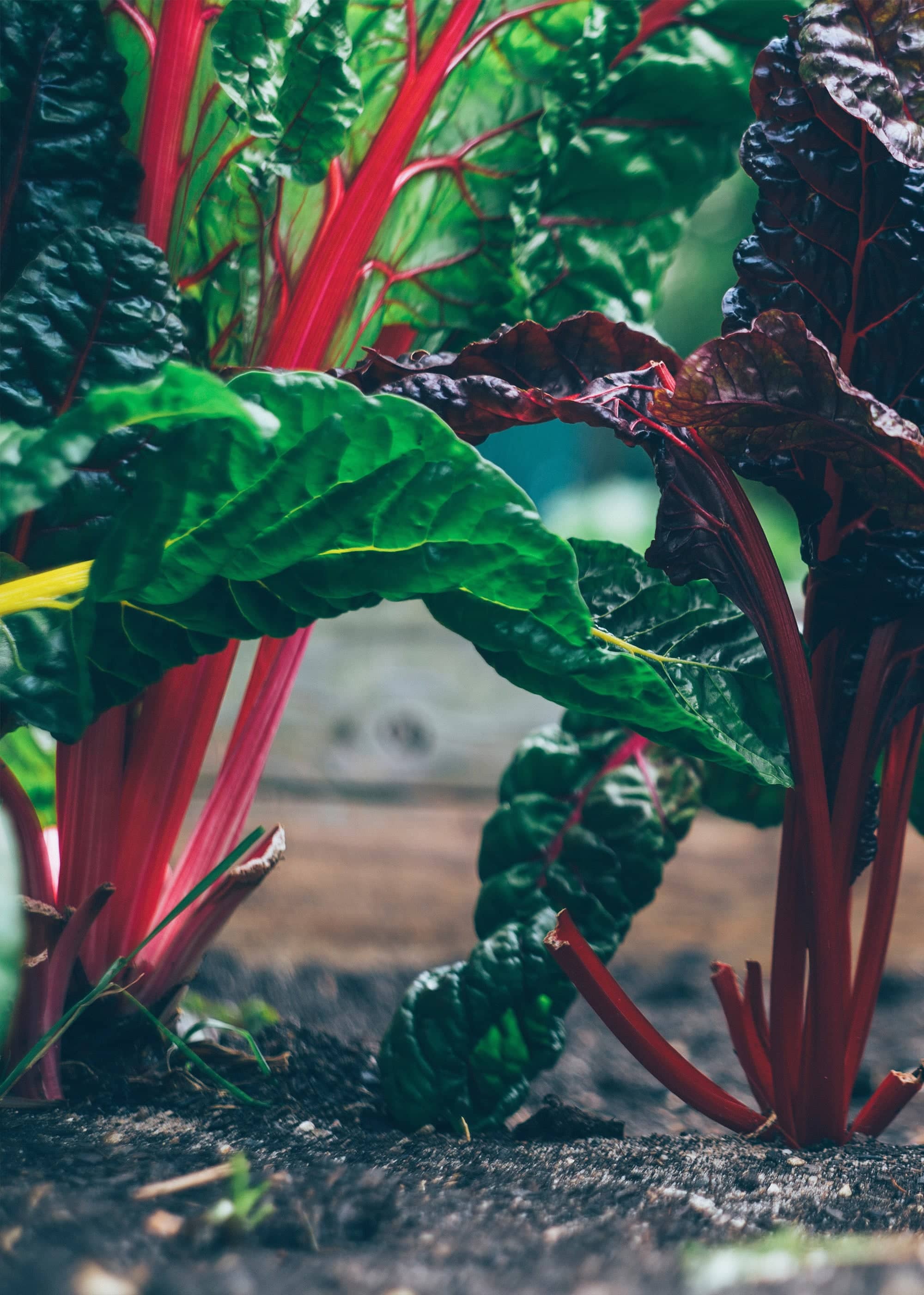 Basor Electric - Cable Tray Especialist